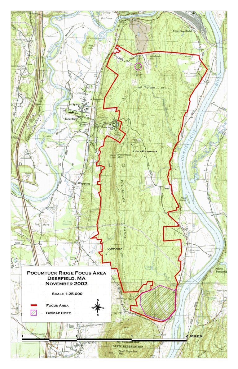 Cross Country Skiing in Western Massachusetts Outdoor Adventure Sampler