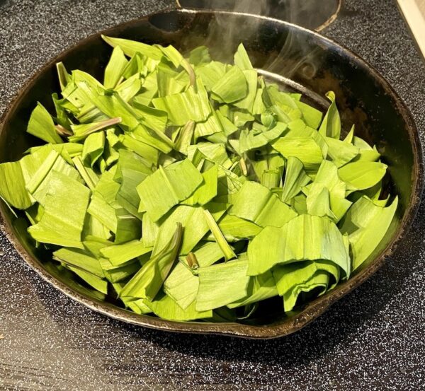 Ultimate Guide to Wild Edibles: Wild Ramps - Outdoor Adventure Sampler