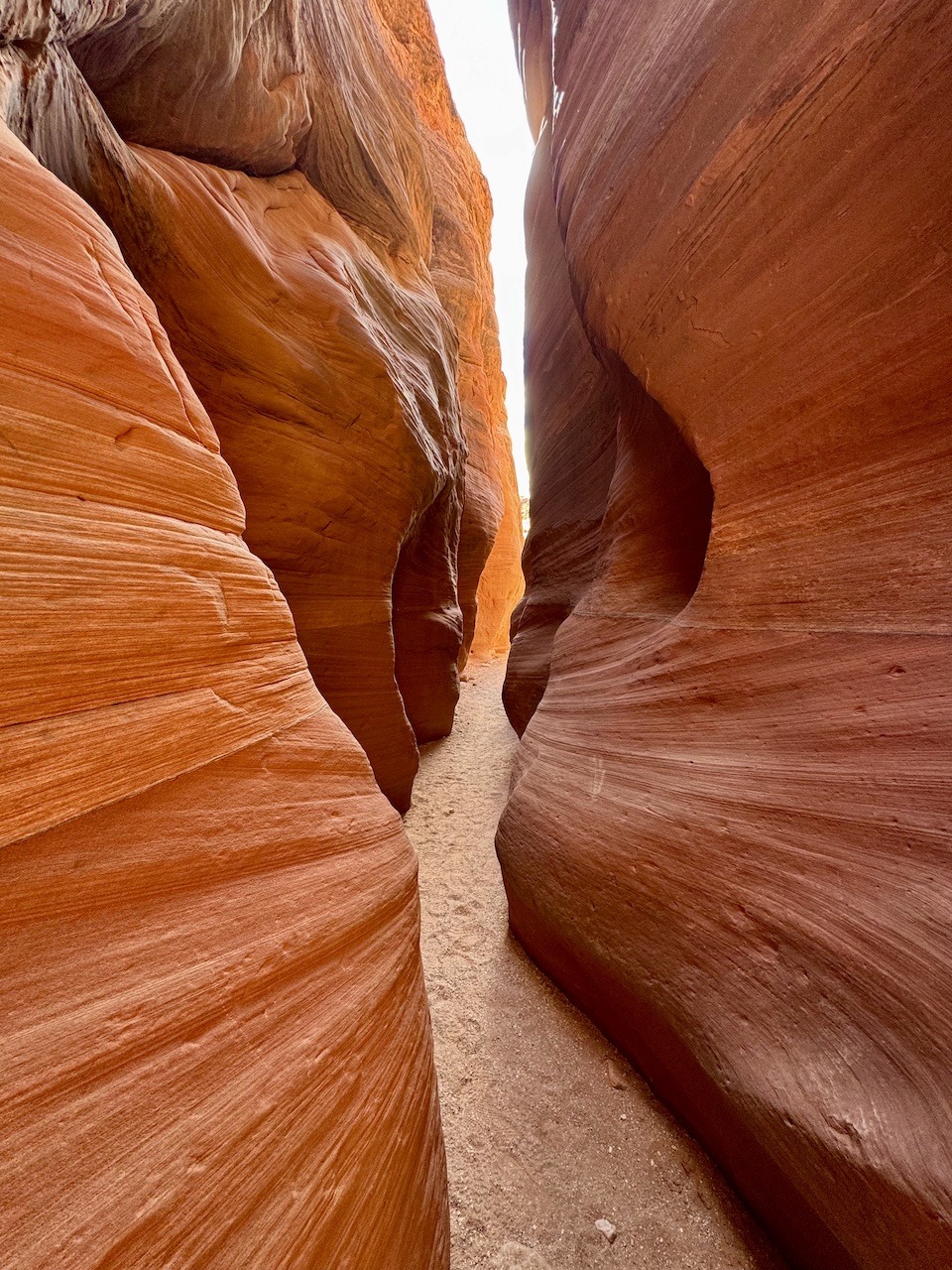 7 Amazing Canyon Adventures in the Southwest USA