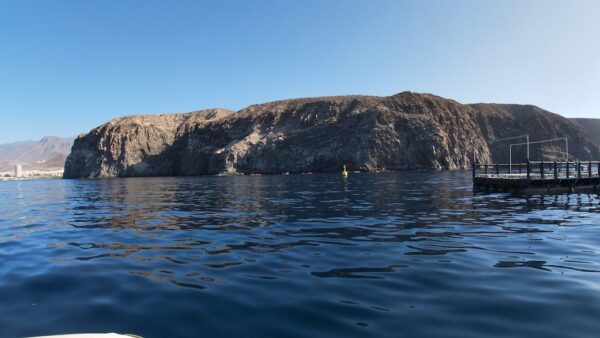 Kayaking and Snorkeling with the Amazing Sea Turtles of Tenerife