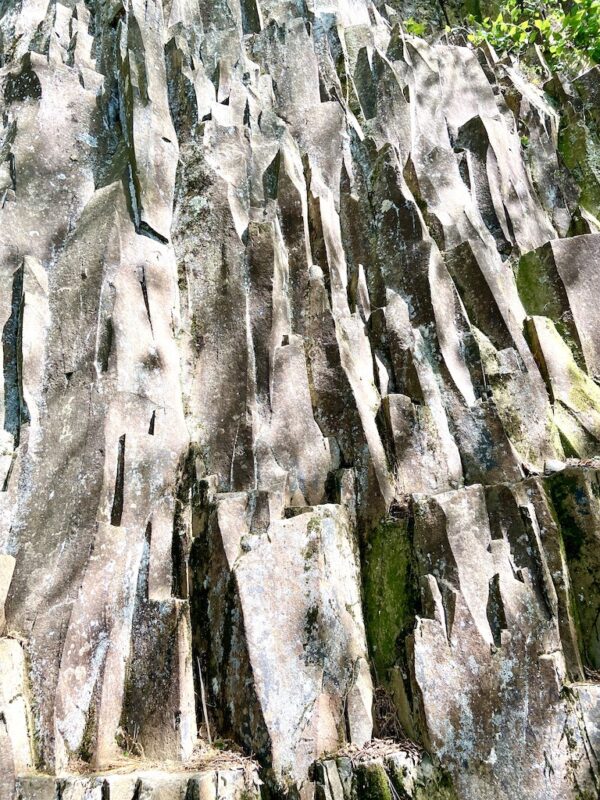 Best Hikes in the Holyoke Range - Outdoor Adventure Sampler